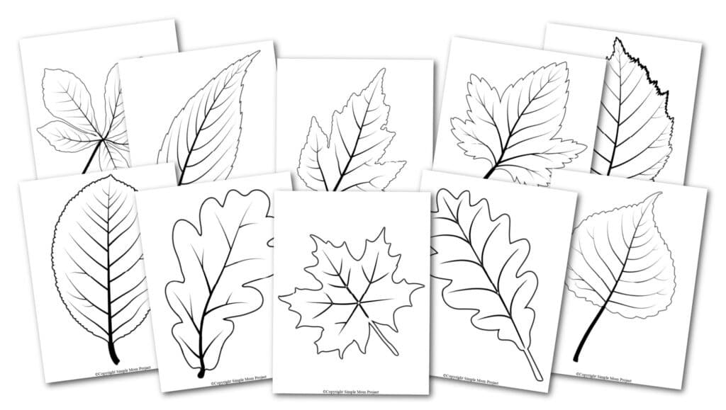 Free Printable Large Leaf Templates, Stencils and Patterns