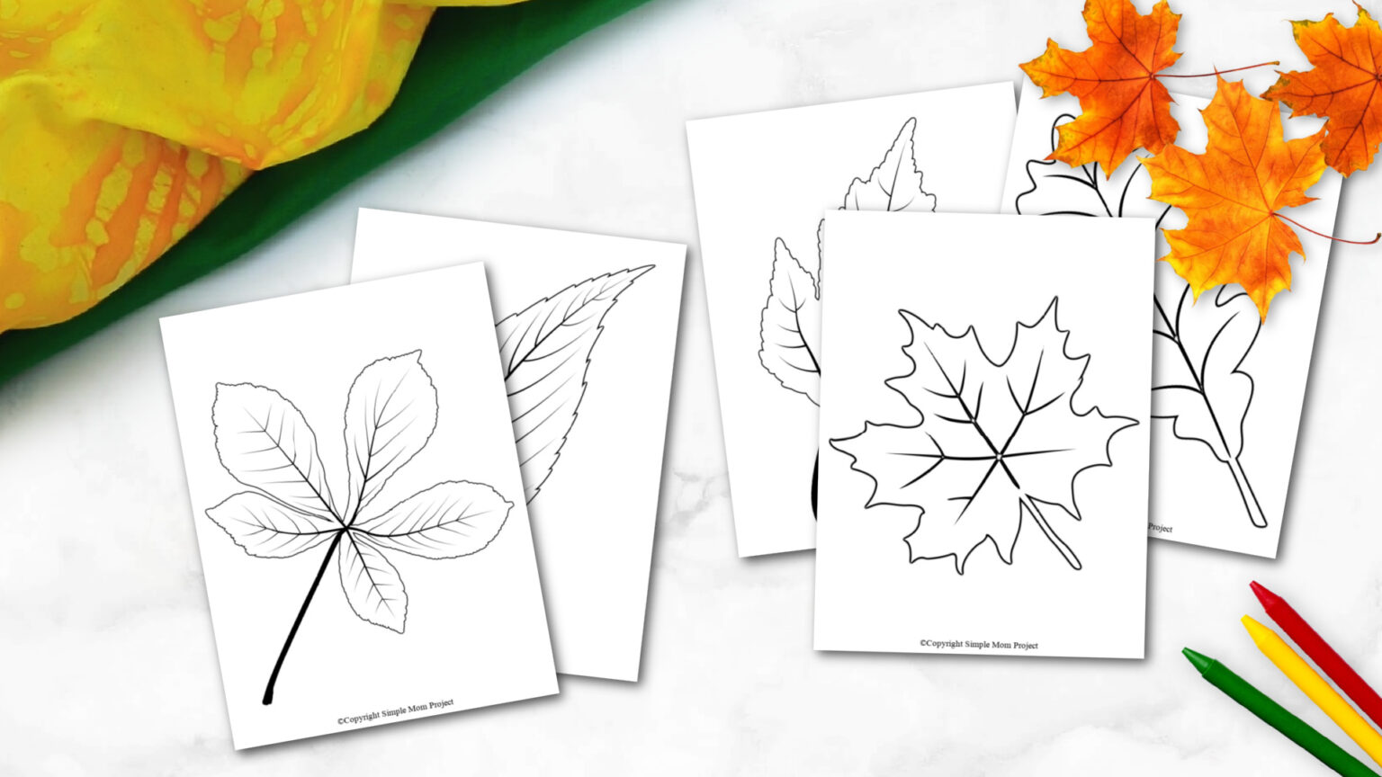 Printable Fall and Autumn Templates – Simple Mom Project