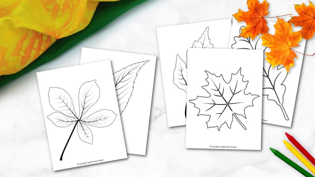 Free Printable Large Leaf Templates, Stencils and Patterns