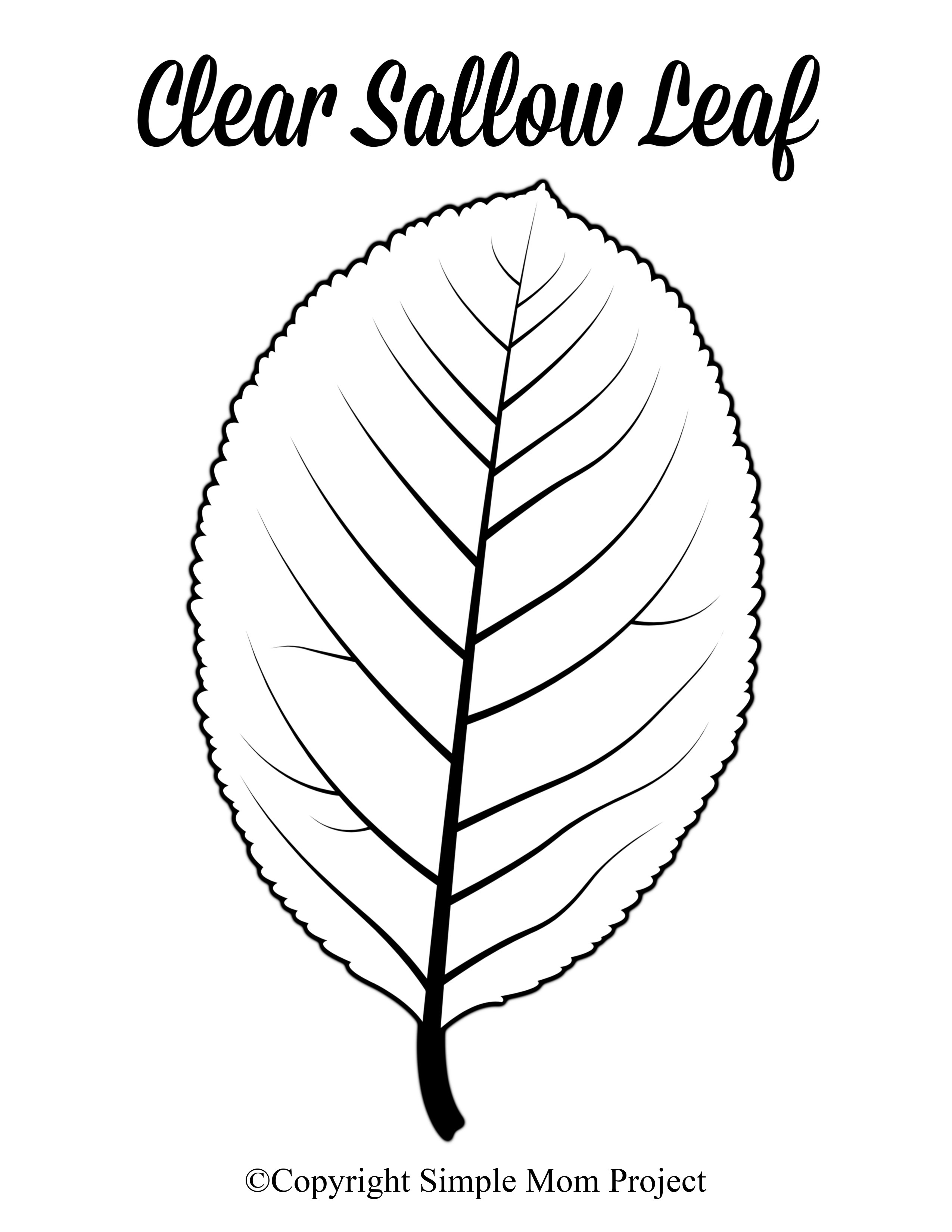 Free Printable Large Leaf Templates Stencils And Patterns Simple Mom 