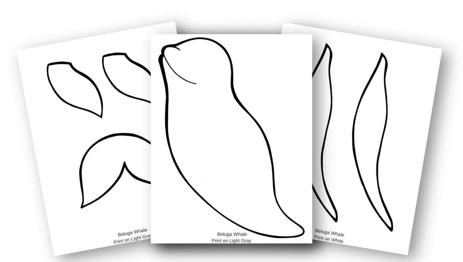 Easy DiY Beluga Whale Craft with Free Template - Simple Mom Project