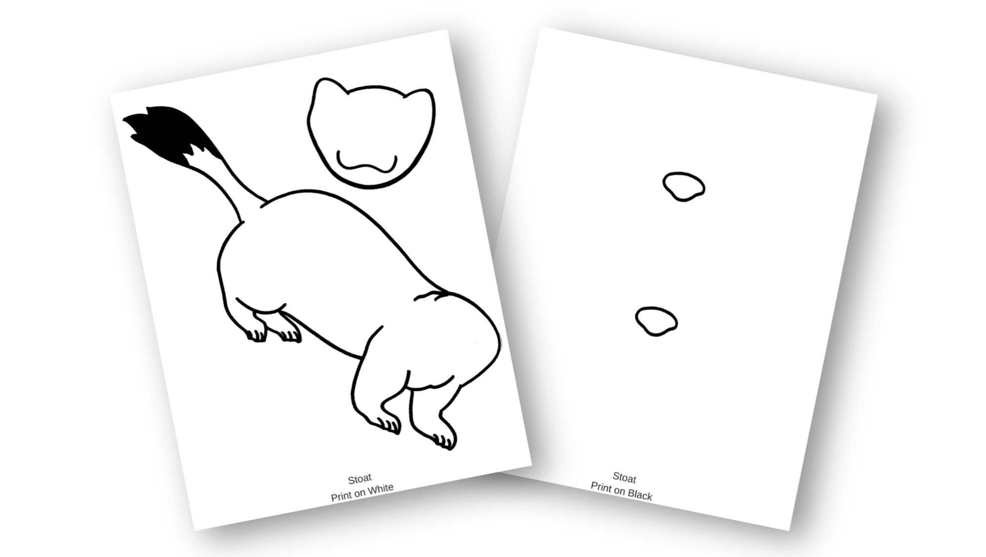 Easy Printable Arctic Animal Stoat Craft for Kids - Simple Mom Project