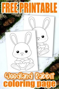 Free Printable Forest Rabbit Coloring Page - Simple Mom Project