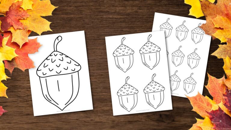 Free Printable Large, Medium and Small Acorn Templates