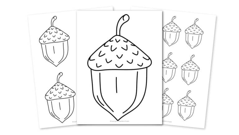 Free Printable Large, Medium and Small Acorn Templates