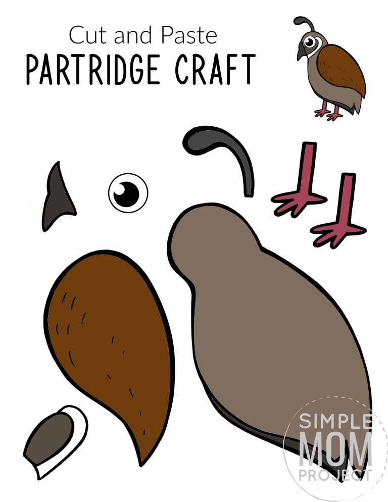 Cut and Paste Partridge Craft for Kids – Simple Mom Project