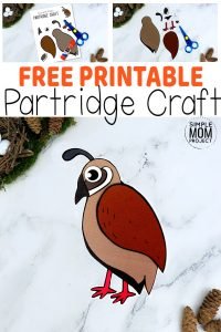 Cut and Paste Partridge Craft for Kids – Simple Mom Project