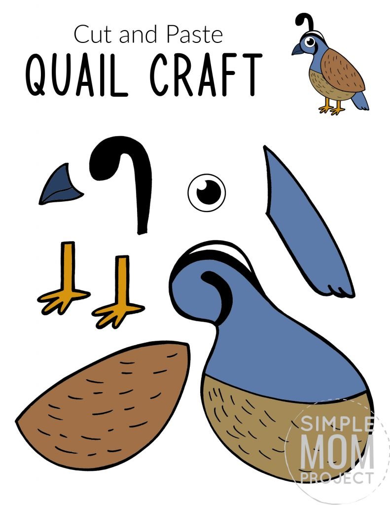 Easy Cut and Paste Quail Craft for Kids - Simple Mom Project