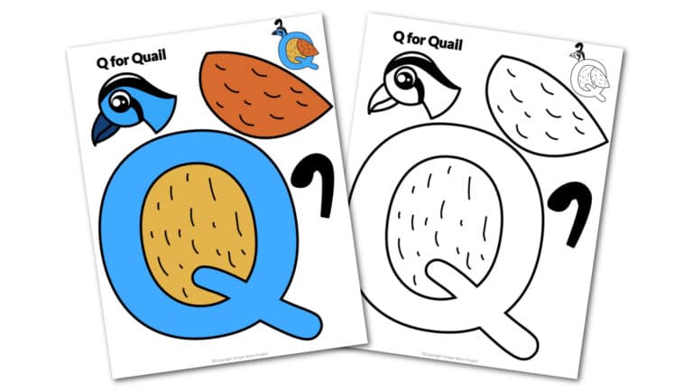 Free Printable Letter Q Quail Craft for Kids & Teachers - Simple Mom ...