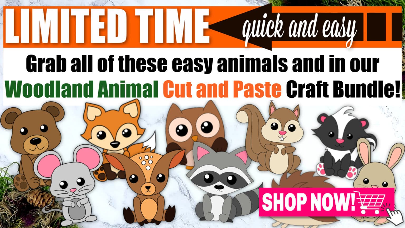 Free Printable Forest Raccoon Craft for Kids – Simple Mom Project