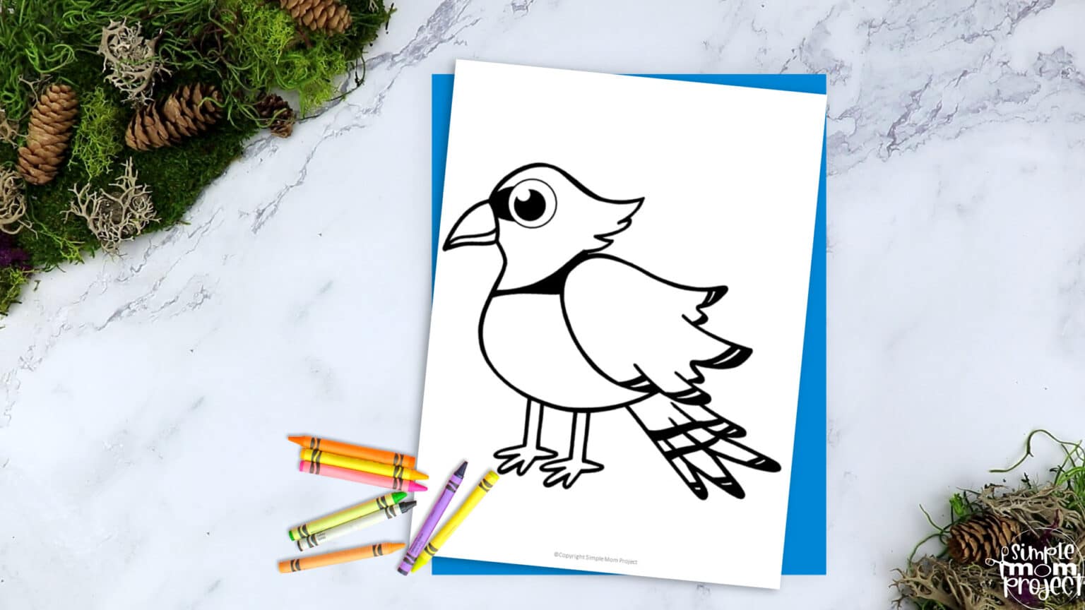 Printable Bird Templates – Simple Mom Project