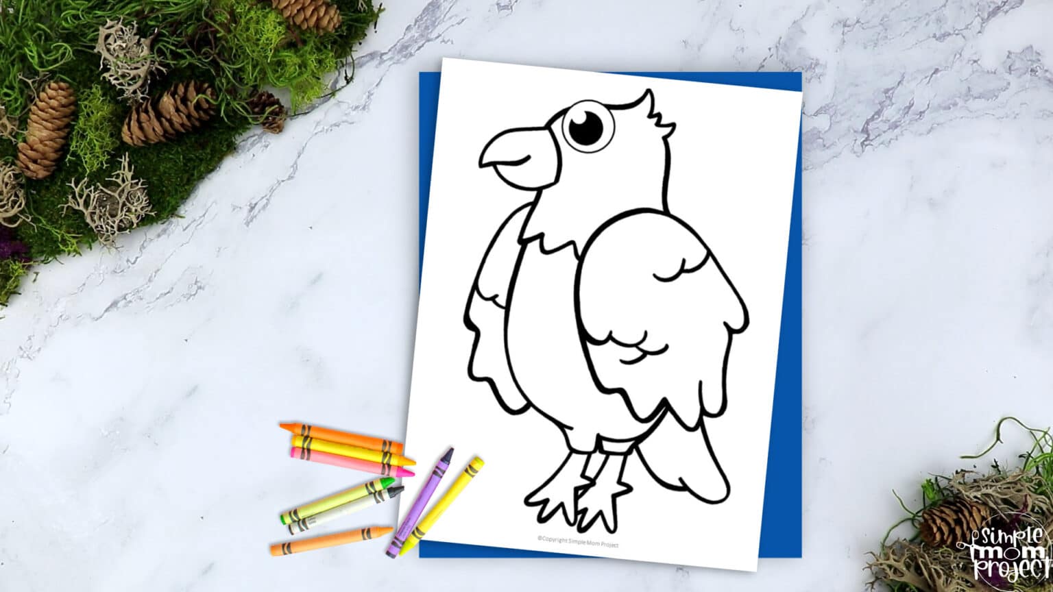 Printable Bird Templates – Simple Mom Project