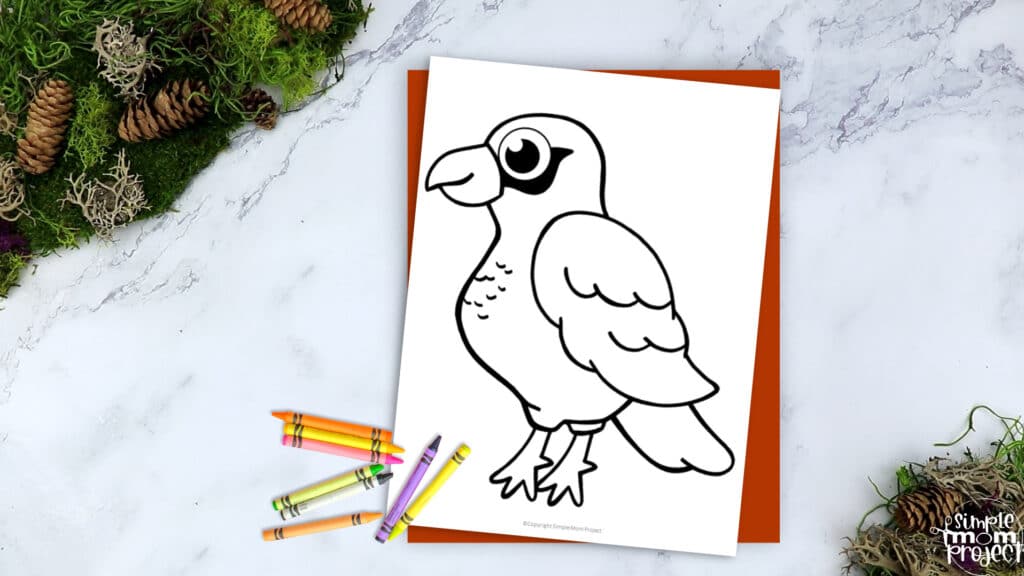 Free Printable Hawk Template - Simple Mom Project