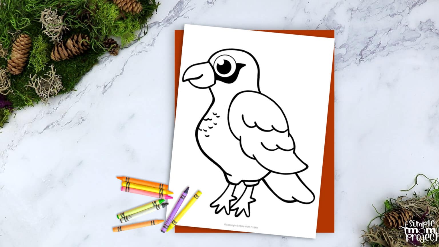 Free Printable Hawk Template - Simple Mom Project