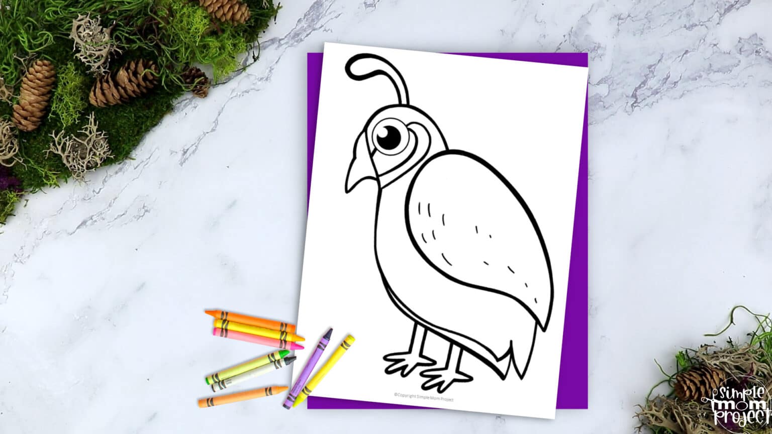 Free Printable Partridge Template - Simple Mom Project