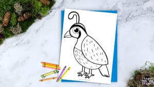 Free Printable Quail Template - Simple Mom Project