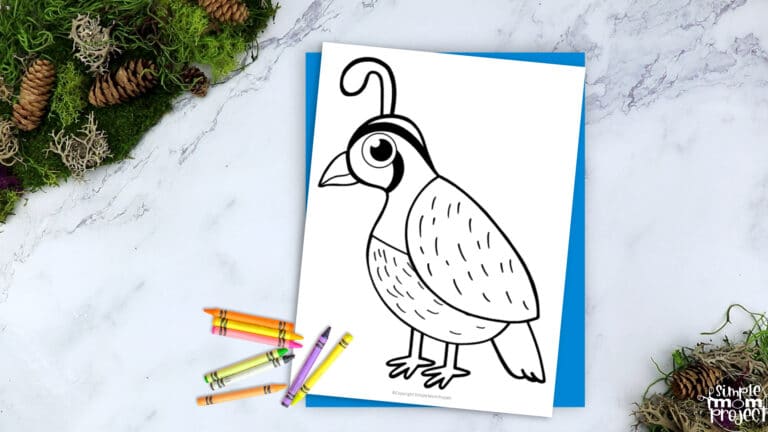 Printable Bird Templates – Simple Mom Project