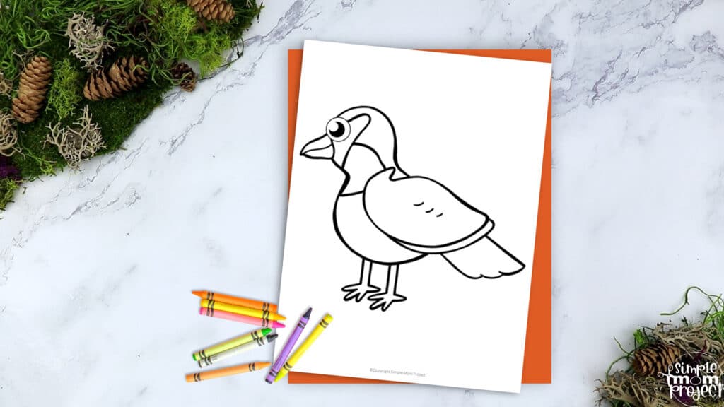 Printable Bird Templates – Simple Mom Project