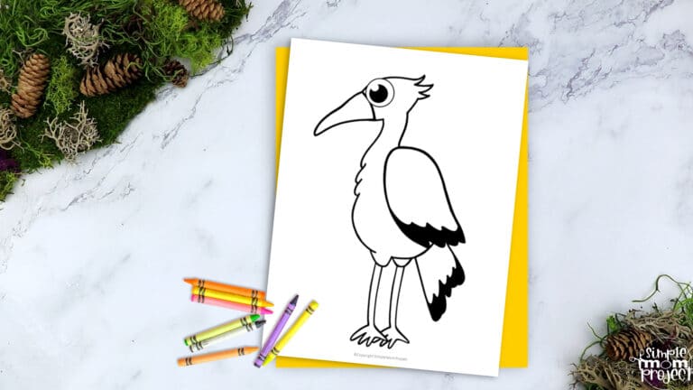 Printable Bird Templates – Simple Mom Project