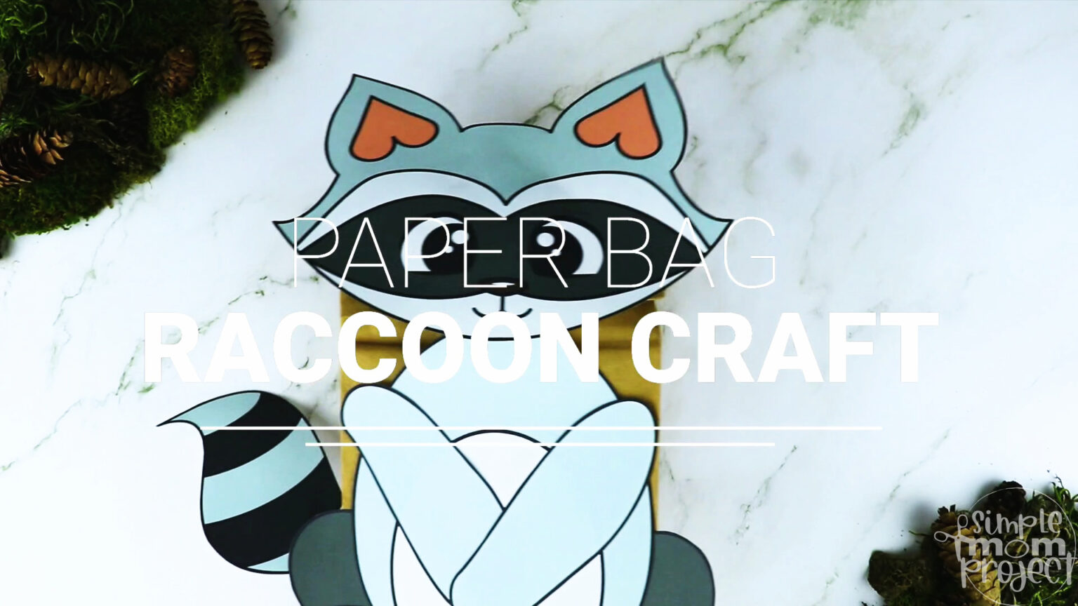 Printable Raccoon Paper Bag Puppet Template – Simple Mom Project