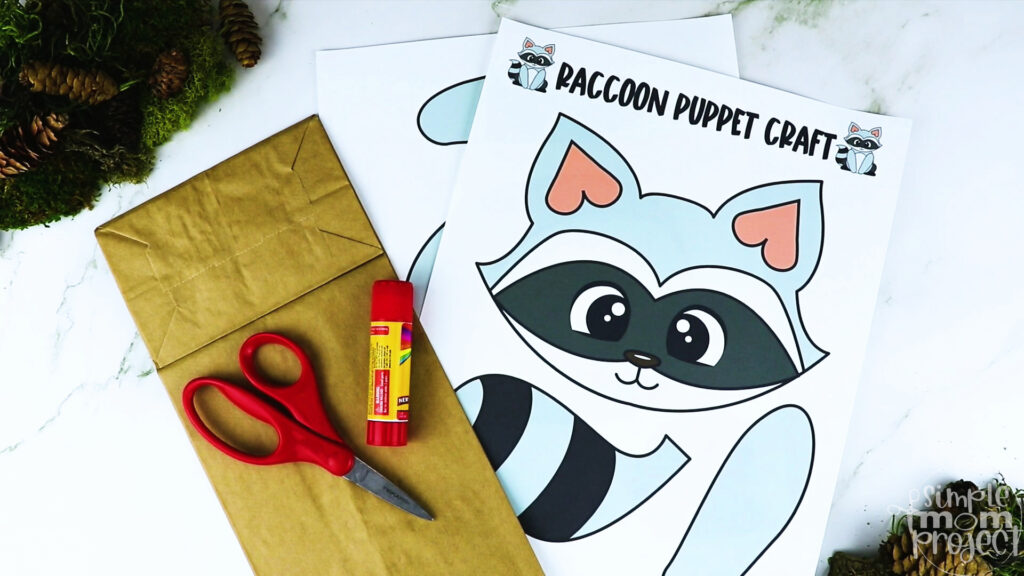 Printable Raccoon Paper Bag Puppet Template – Simple Mom Project