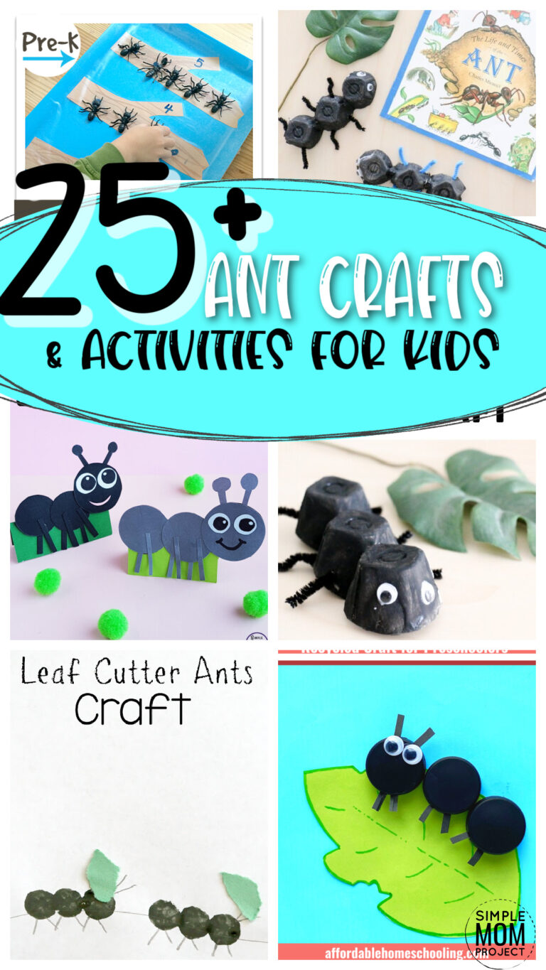25+ Great Ant Crafts and Activities for Kids of All Ages – Simple Mom Project
