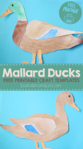 40+ Preschool Kids Duck Crafts Ideas and Activities – Simple Mom Project