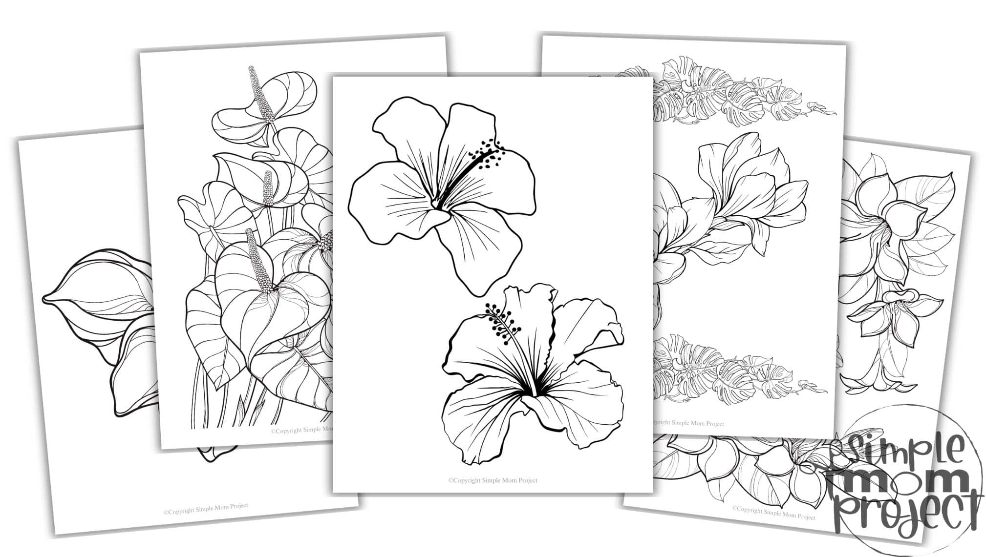 Free Printable Hawaiian Tropical Flower Coloring Page - Simple Mom Project