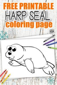 Free Printable Arctic Harp Seal Template