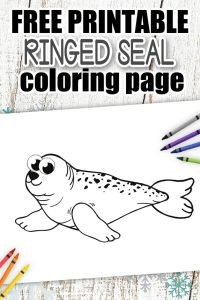 Free Printable Ringed Seal Template - Simple Mom Project